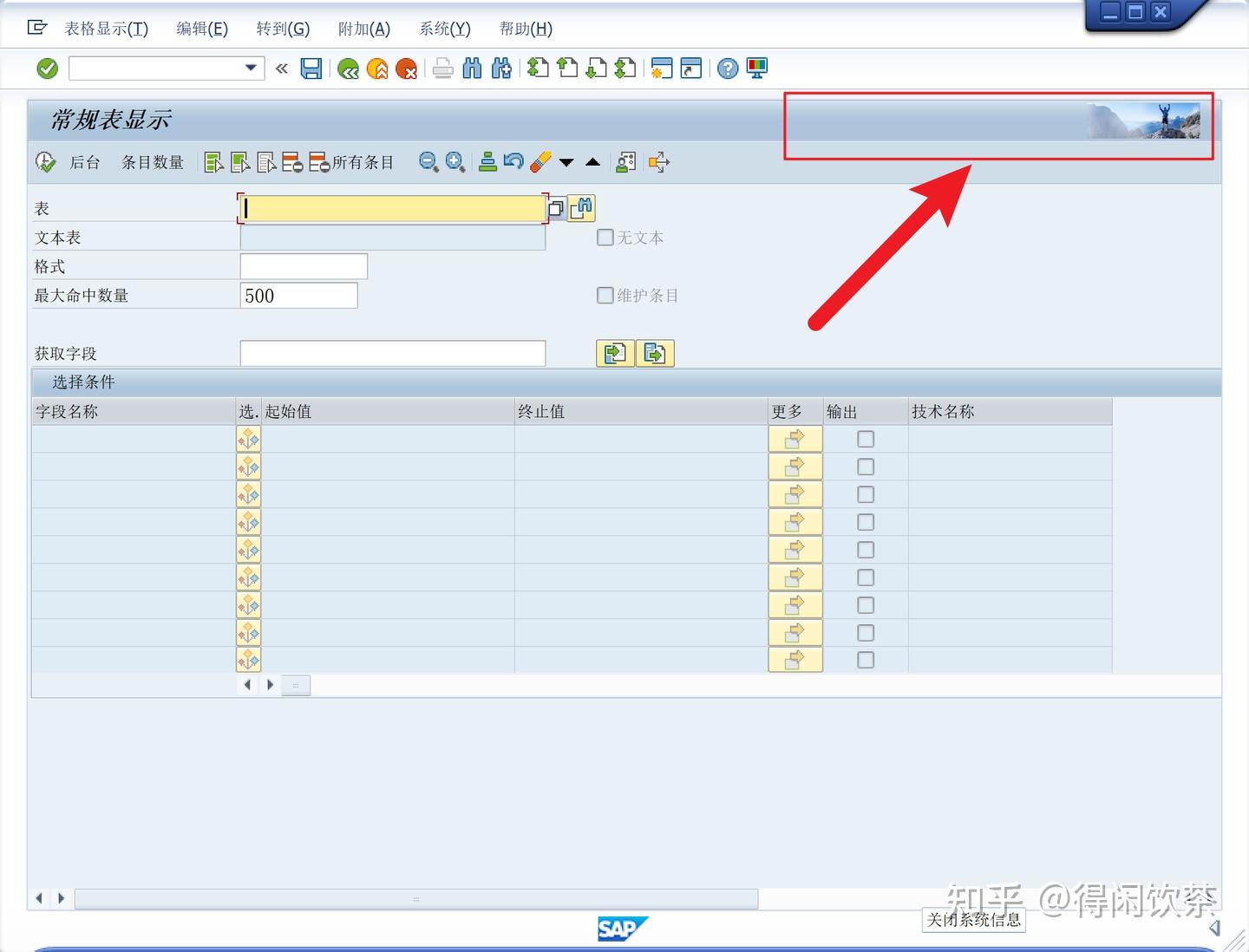 SAP GUI 品牌化设置 - 知乎