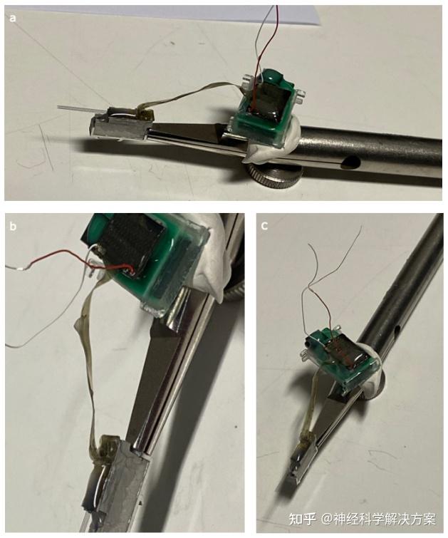 Cambridge NeuroTech电极标准操作协议：在小鼠体内植入慢性硅探针和 mini-amp-64 数字探头 - 知乎