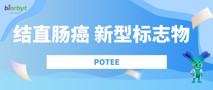 POTEE | 诊断和干预“结直肠癌”的新型生物标志物 - 知乎