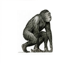 CVPR 2024 | DiffMorpher：实现两张图像间的平滑变形 - 知乎