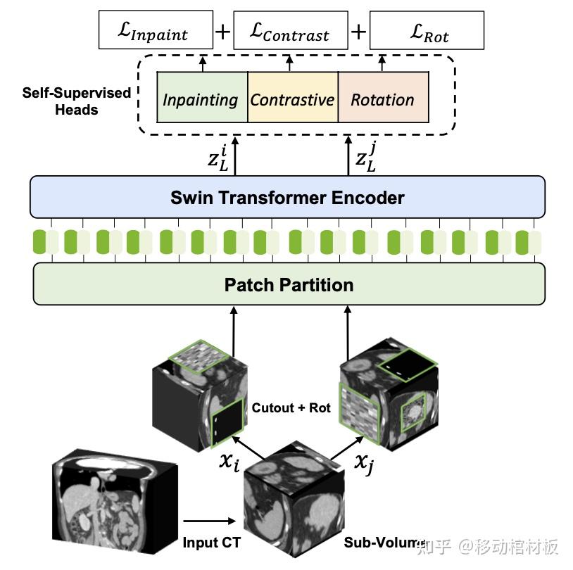 医学影像自监督随记：Self-Supervised Pre-Training of Swin Transformers for 3D ...