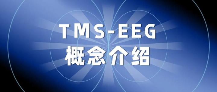 TMS-EEG概念介绍 - 知乎