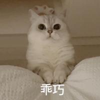 CNVkit、CNVpytor(CNVnator的python版)以及低深度（0.1×-1×）WisecondorX 进行cnv分析 - 知乎