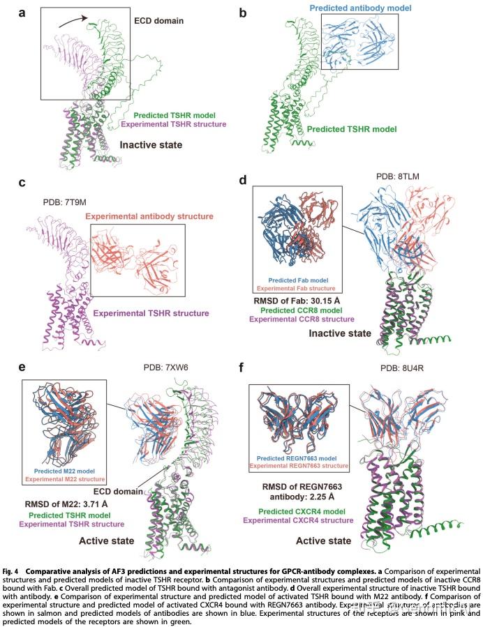 AlphaFold3预测GPCRs结构任重道远 - 知乎