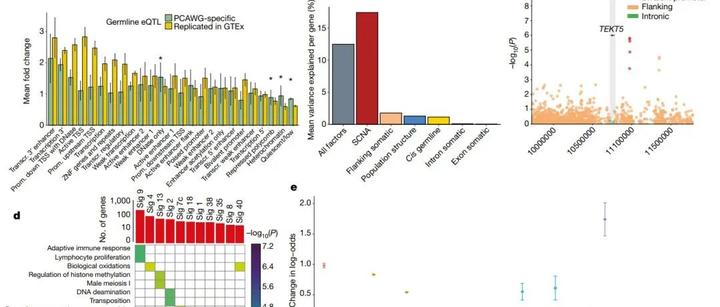 Nature | 癌症中转录组变化的基因组基础 (1) - 知乎