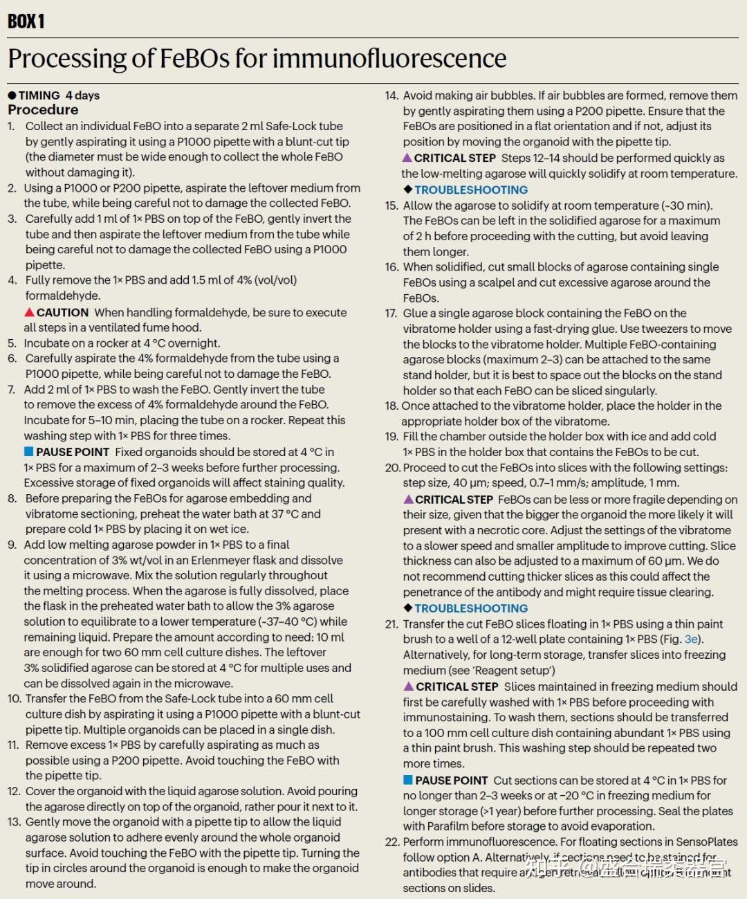 Nature Protocols |CRISPR编辑脑类器官构建脑肿瘤模型方案 - 知乎