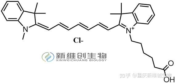 荧光素标记小鼠一型胶原蛋白FITC/CY5/CY5.5标记原理 - 知乎