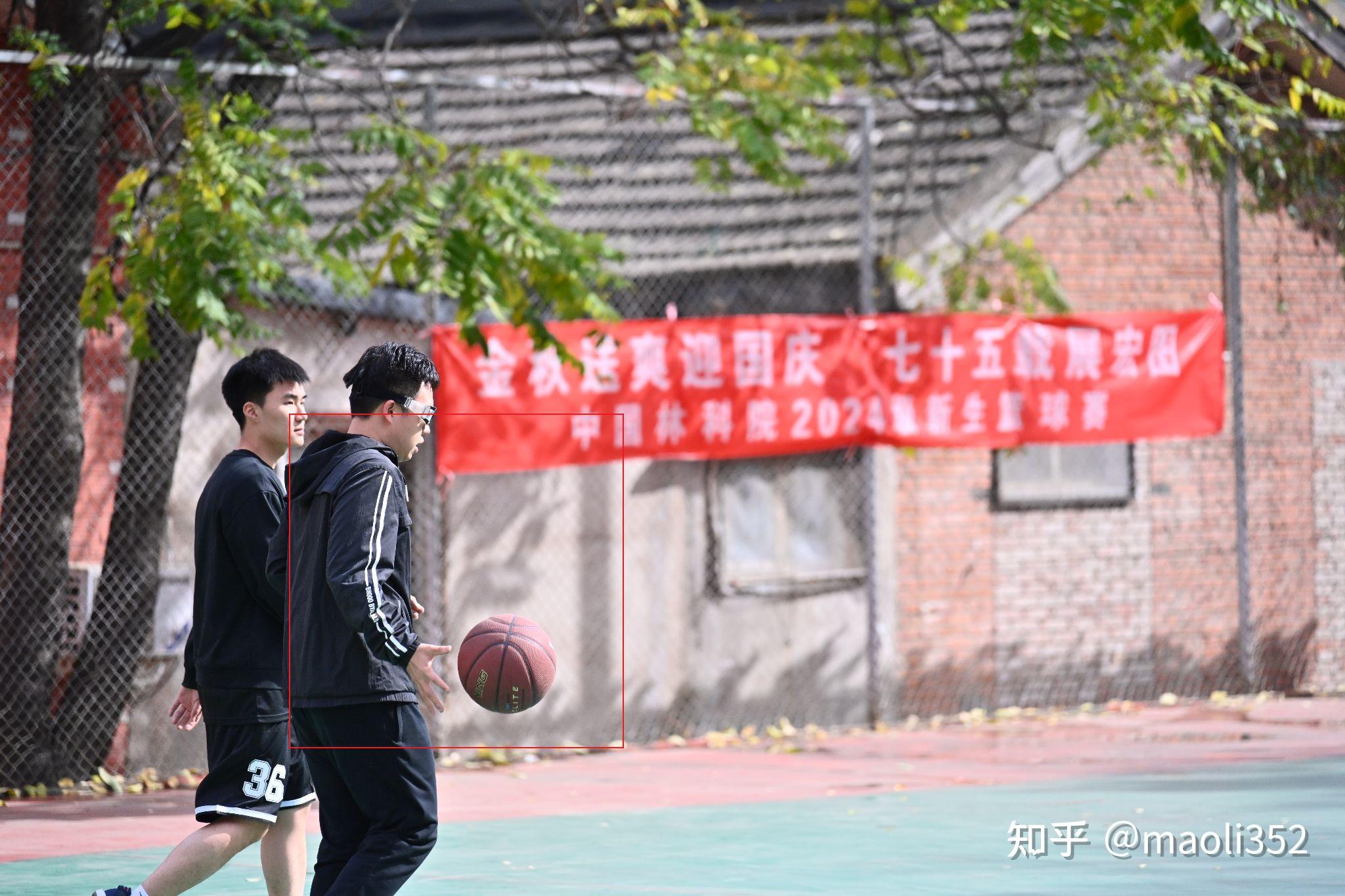 2024年，尼康Z63和尼康Z72应该如何选择？ - 知乎