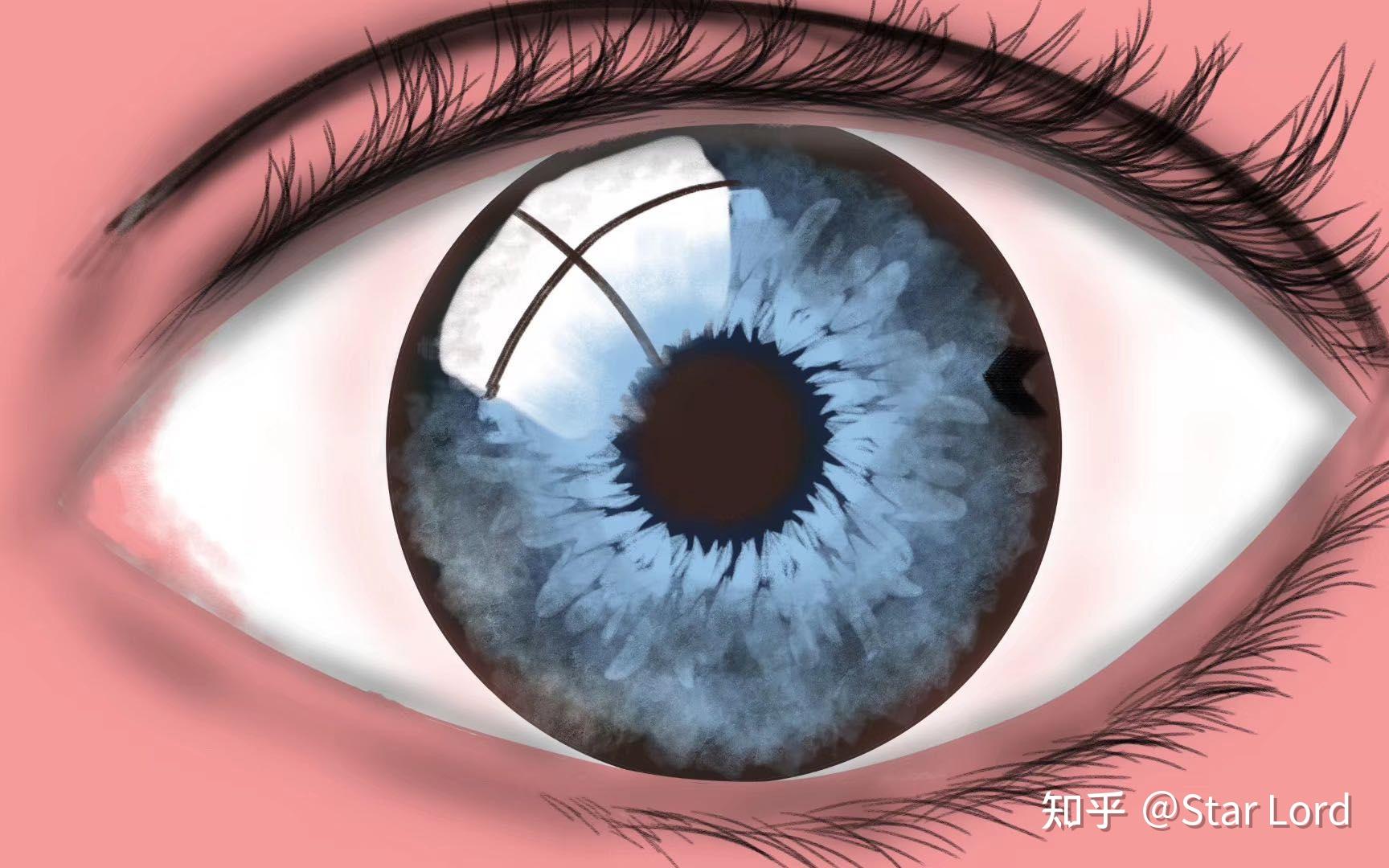 iPad画画下载了免费的sketchbook，还需要下载Procreate吗？ - 知乎