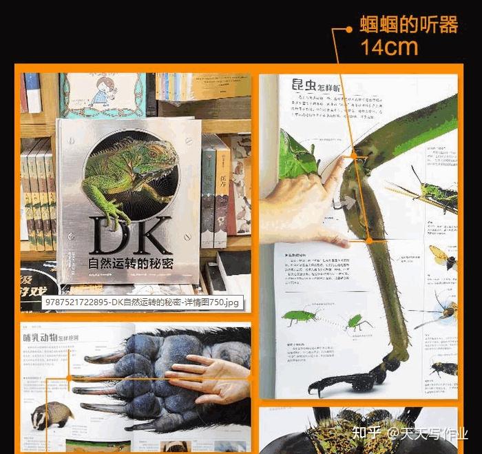 DK公司（Dorling Kindersley）的书籍大梳理（三个版本的DK百科全书、京东满100-50元，从2岁到14岁都可以） - 知乎