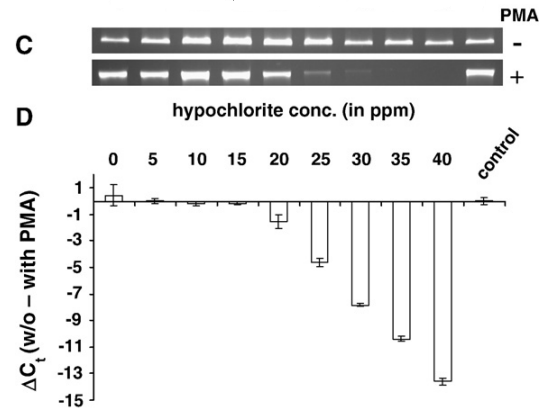 PMA的应用 - 知乎