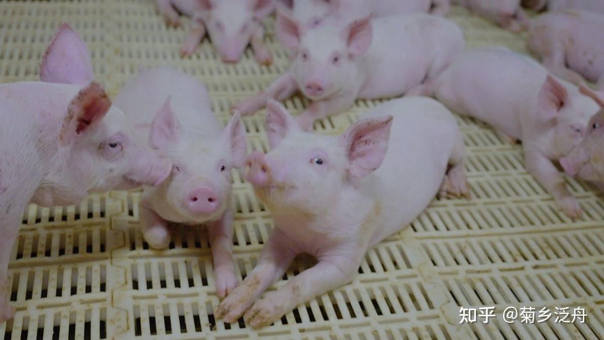 月薪从7000元到13000元，99年牧原小伙儿只用了3个月 - 知乎