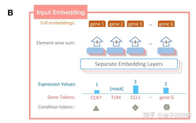文献阅读1：scGPT: Towards Building a Foundation Model for Single-Cell Multi-omics Using Generative AI ...