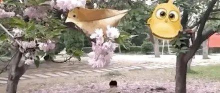 Message by Prime Minister Justin Trudeau on Easter 2022 - 知乎