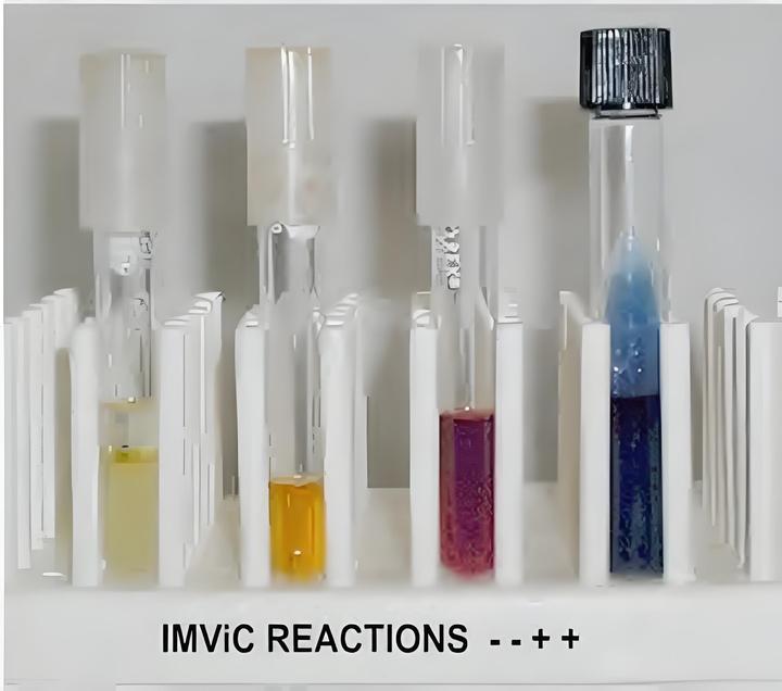 微生物的生理生化实验—IMViC试验 - 知乎