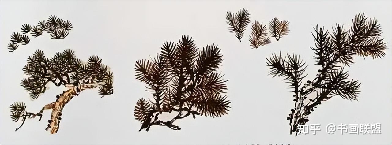 国画技法 松树的各种画法 - 知乎