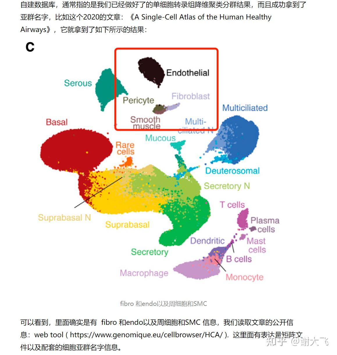 SingleR及数据库资源包celldex简介 - 知乎