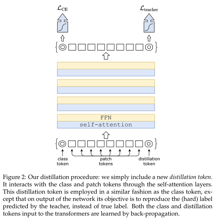 【读论文】Transformer的蒸馏DeiT: Training data-efficient image transformers & distillation through ...