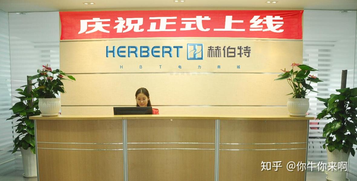Herbert电力商城正式上线，开启在线零售新纪元 - 知乎