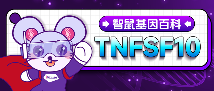 TNFSF10基因：从发现到肿瘤治疗的潜力新锐 - 知乎