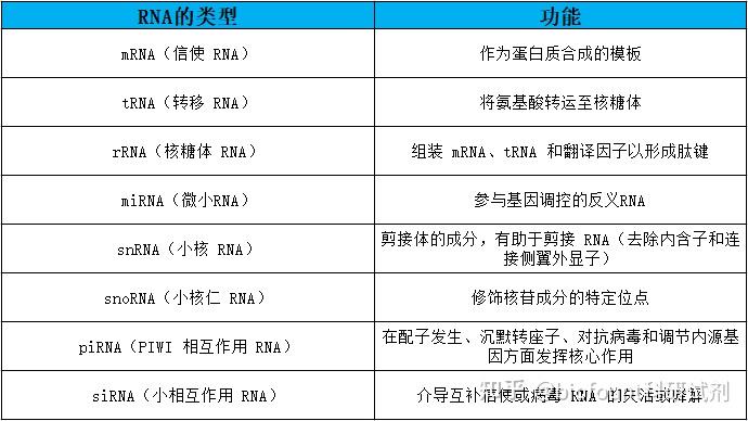 RNA 的类型：结构和功能 - 知乎