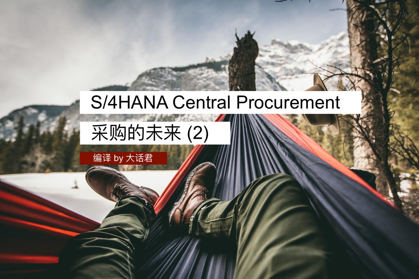 S/4HANA Central Procurement – 采购的未来 (2) - 知乎