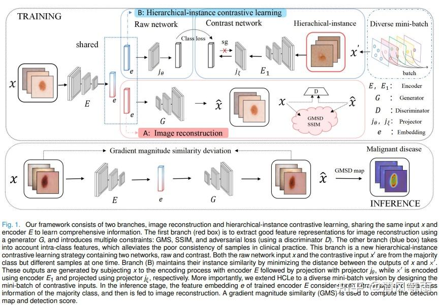 IEEE Transactions on Medical Imaging(TMI)论文推荐：2024年01月(2) - 知乎