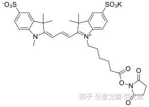 磺化CY3标记活性脂Sulfo Cy3-NHS标记生物分子146368-16-3 - 知乎