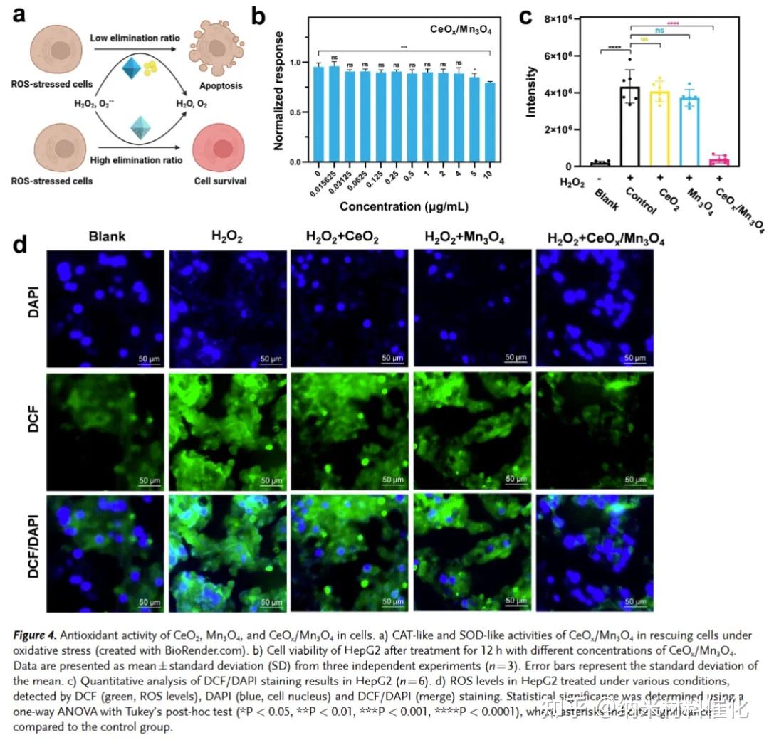 【Angew.Chem.Int.Ed.】Mn-Ce 共生：具有多个活性位点的纳米酶有助于基于电子转移和约束锚定的活性氧清除 - 知乎