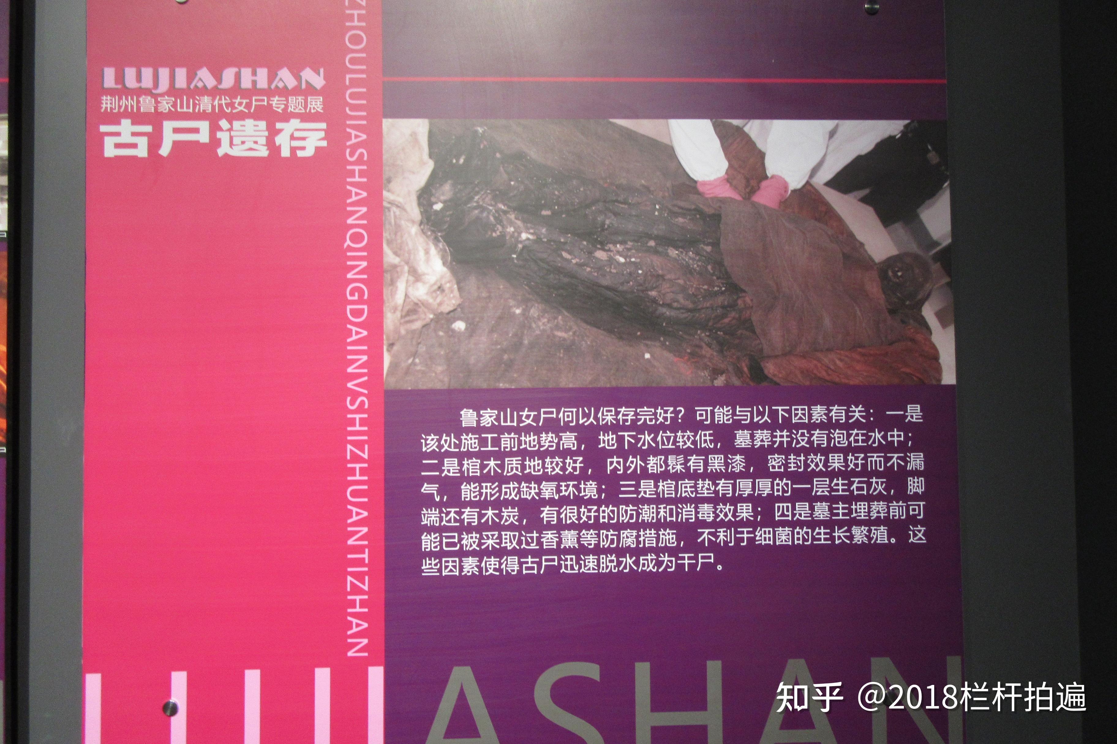 荆州：“荆州博物馆”（6）【荆州鲁家山清代女尸专题展】 - 知乎