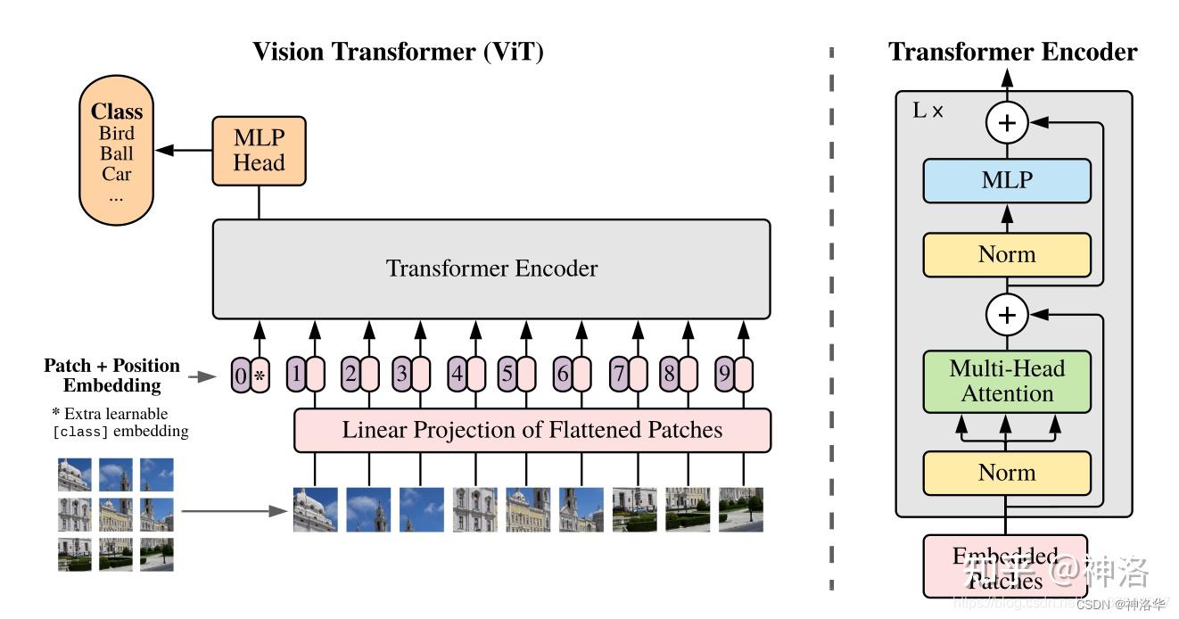 Vision Transformer论文精读 - 知乎