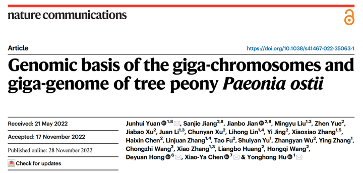 Nat Comm发表牡丹基因组学里程碑式成果：破解高复杂超大凤丹牡丹基因组遗传密码 - 知乎