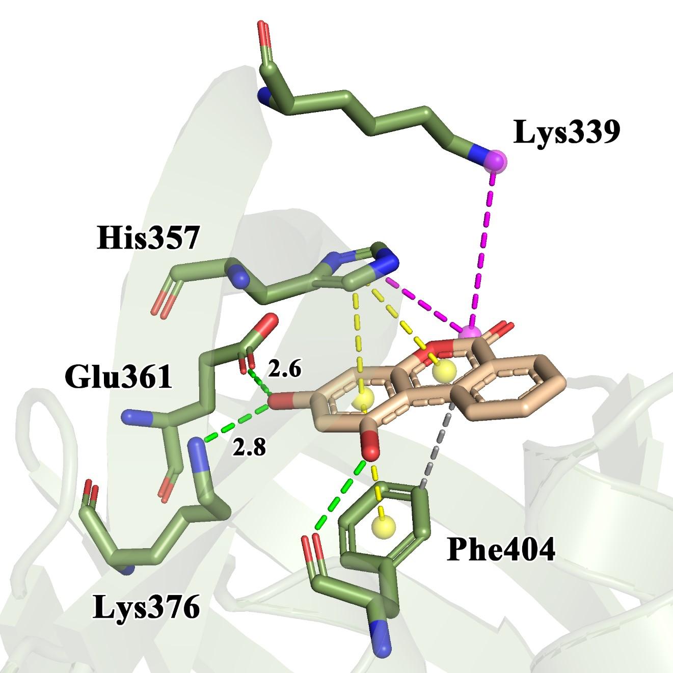 高质量PyMOL作图教程 - 知乎