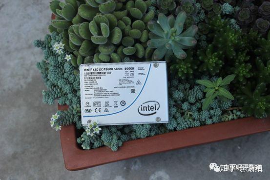 企业级超级邮轮英特尔 P3600 简评 - 知乎