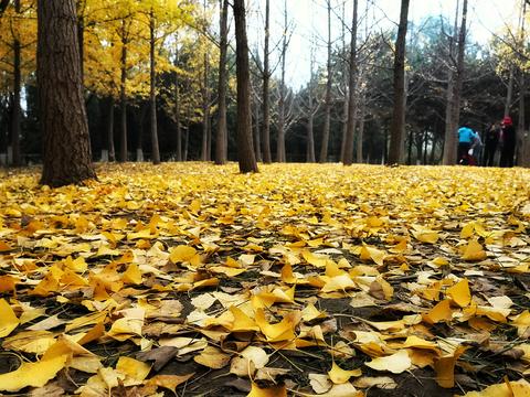 Windows编译gflags库 - 知乎