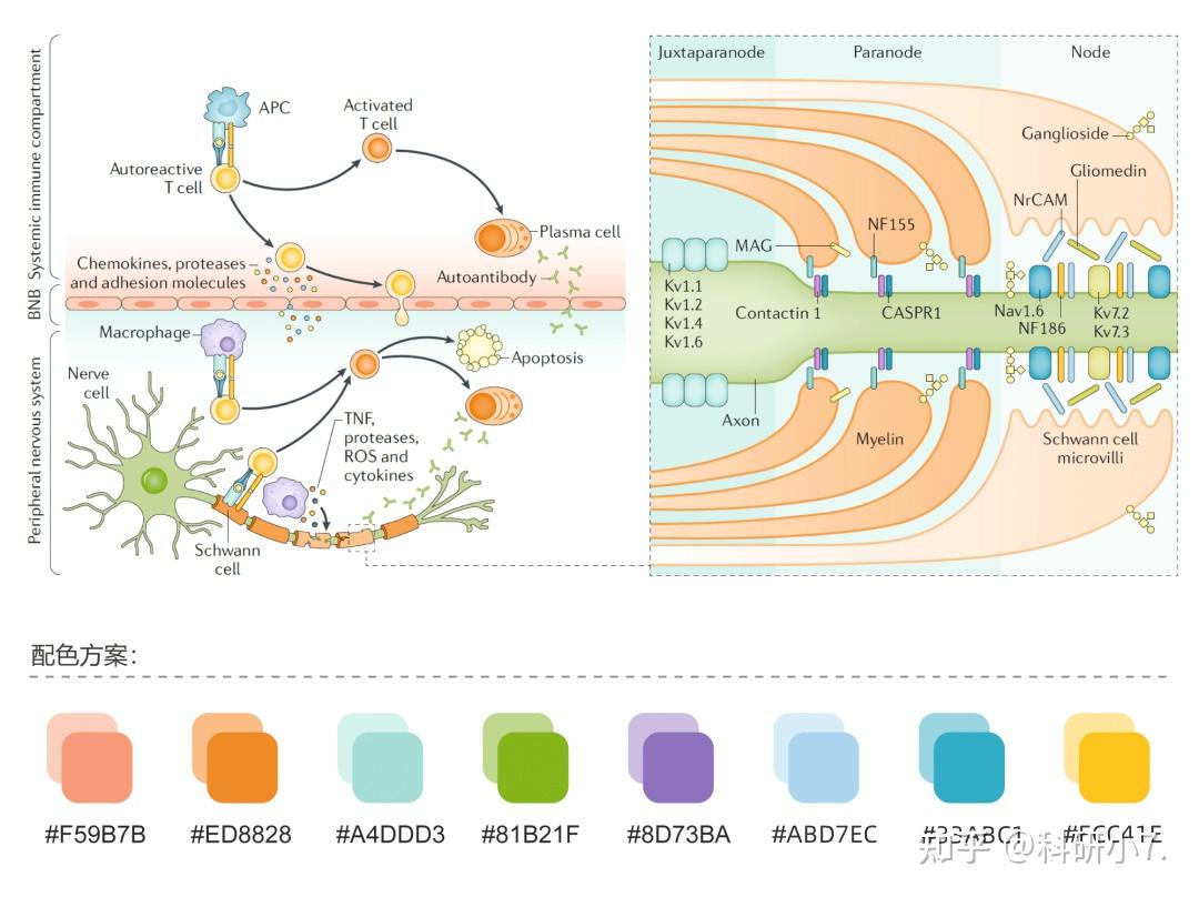 必收藏！Nature论文插图，向顶刊学配色（附RGB值） - 知乎