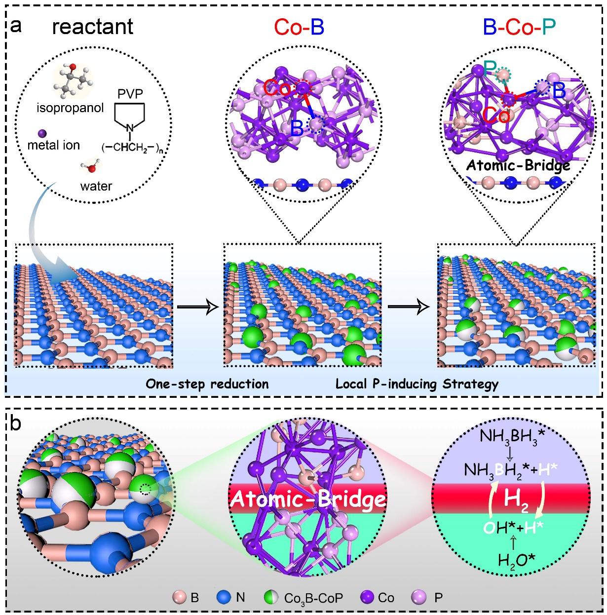 刘宝忠、李保军教授，ACB：氮化硼纳米片上高效B-Co-P原子桥结构设计及催化产氢新思路 - 知乎