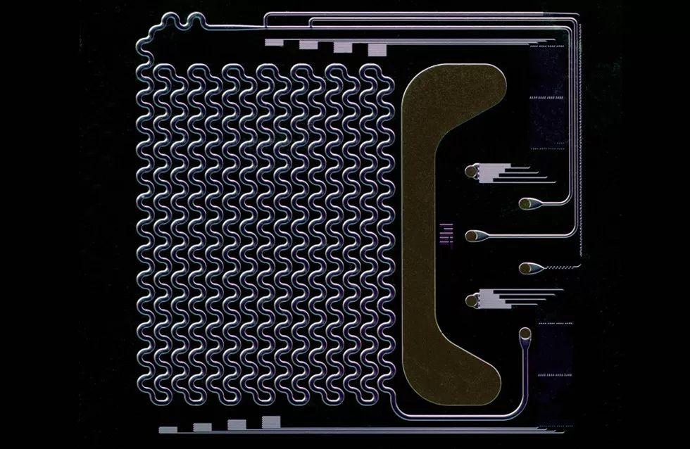 Felice Frankel | 镜头底下的科学世界 - 知乎