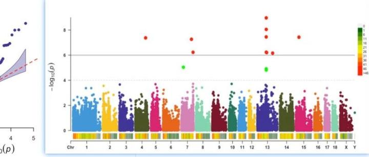GWAS分析中可视化：qqman和cmplot - 知乎