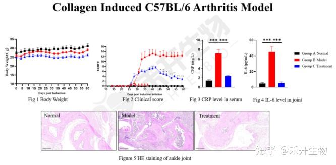 小禾说 | 自身免疫疾病靶点与模型系列(16)——CD3-TCE爆火，自免双抗/多抗疗法进入新阶段 - 知乎