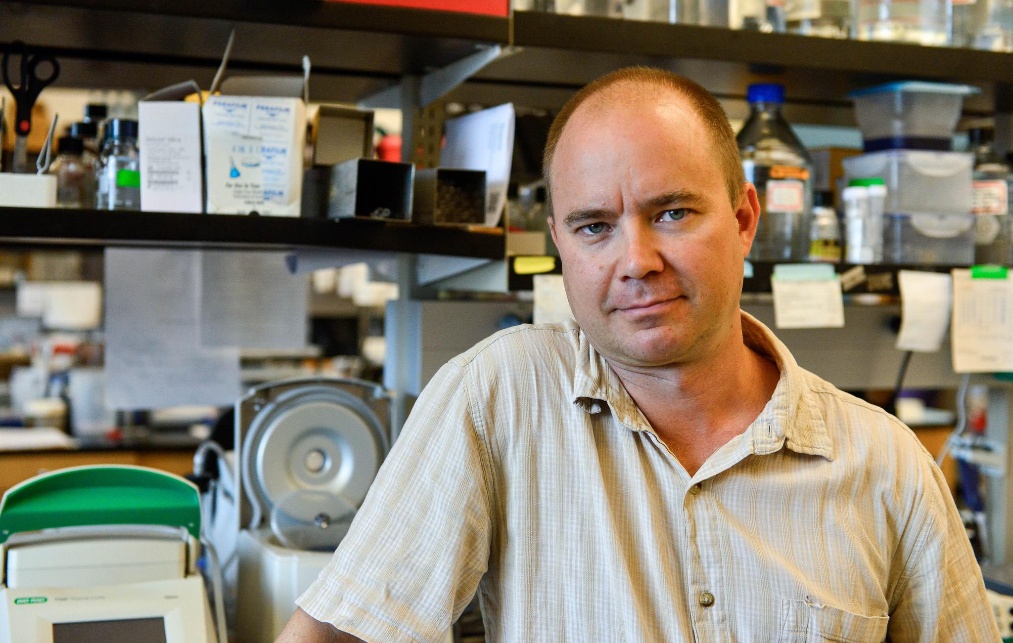 CRISPR技术的前世今生 - 知乎