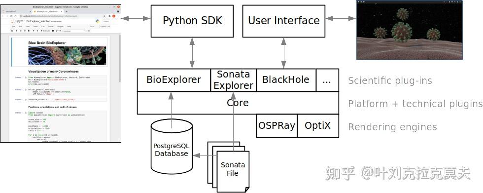 科学可视化软件介绍 – Blue Brain BioExplorer - 知乎
