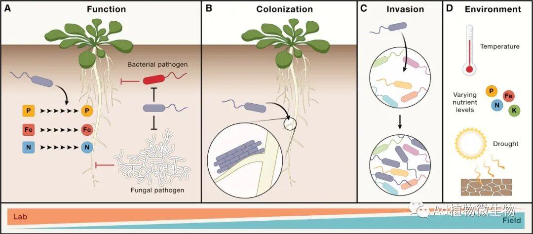 Cell | 植物免疫学大佬Jeff Dangl团队在植物微生物组方向发表最新文章！ - 知乎
