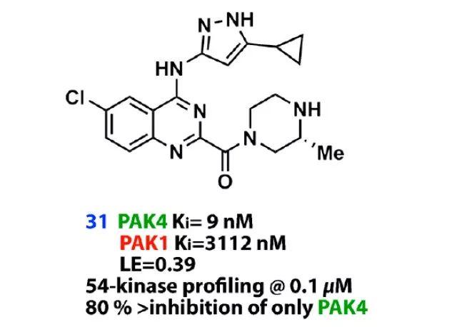 新型高活性高选择性 PAK4 抑制剂的发现 - 知乎