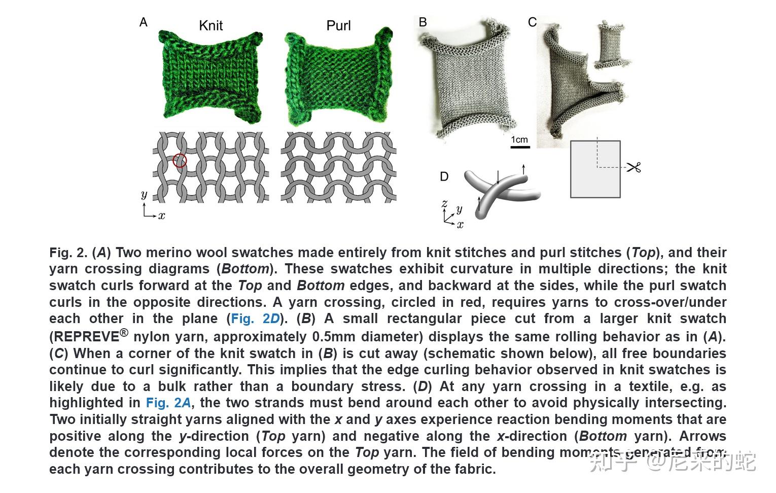新物理模型解释编织的复杂形状 Knitting’s Complex Shapes Explained in New Physics Model ...