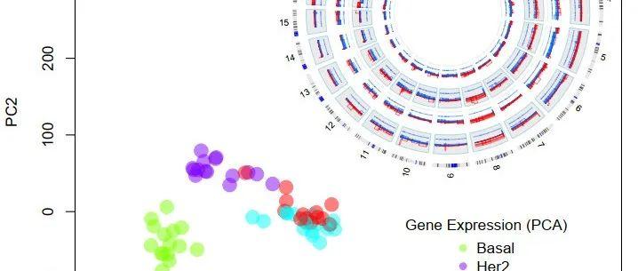 FigDraw 15. SCI 文章绘图之多组学圈图(OmicCircos) - 知乎