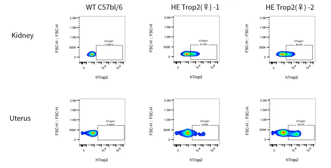 TROP2：肿瘤治疗领域的明星靶点 - 知乎