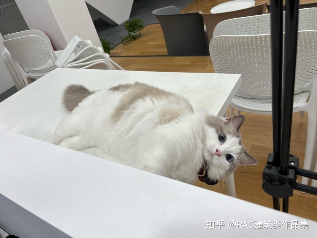 2023经验谈【110】| 双非建筑学长UCL/MSA/米理/AA等offer九连，从小白到学霸的逆袭！ - 知乎