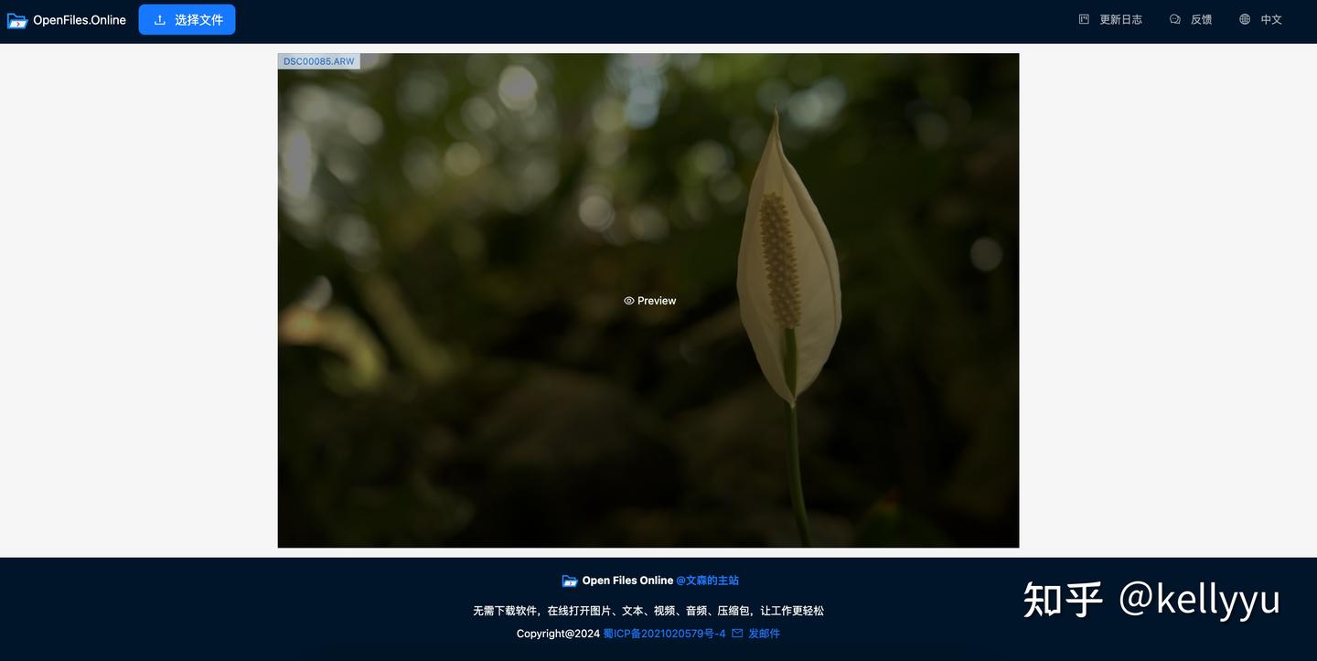 在线打开 RAW \ TIFF\ARW\CR3\NEF\RW2等相机文件 - 知乎