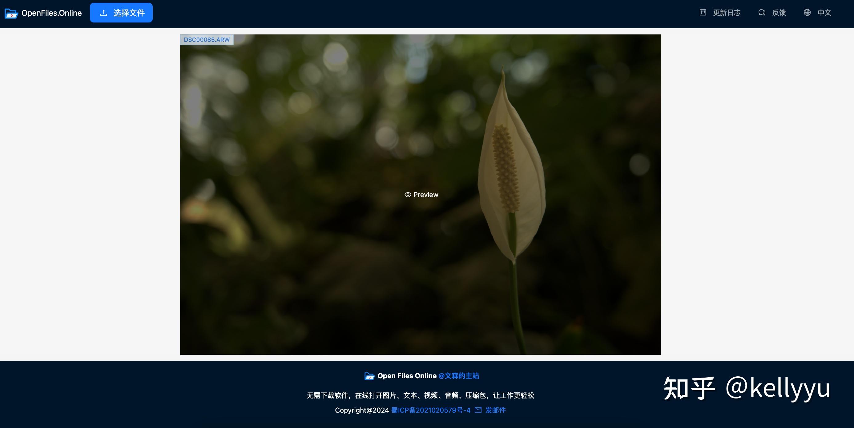 在线打开 RAW \ TIFF\ARW\CR3\NEF\RW2等相机文件 - 知乎